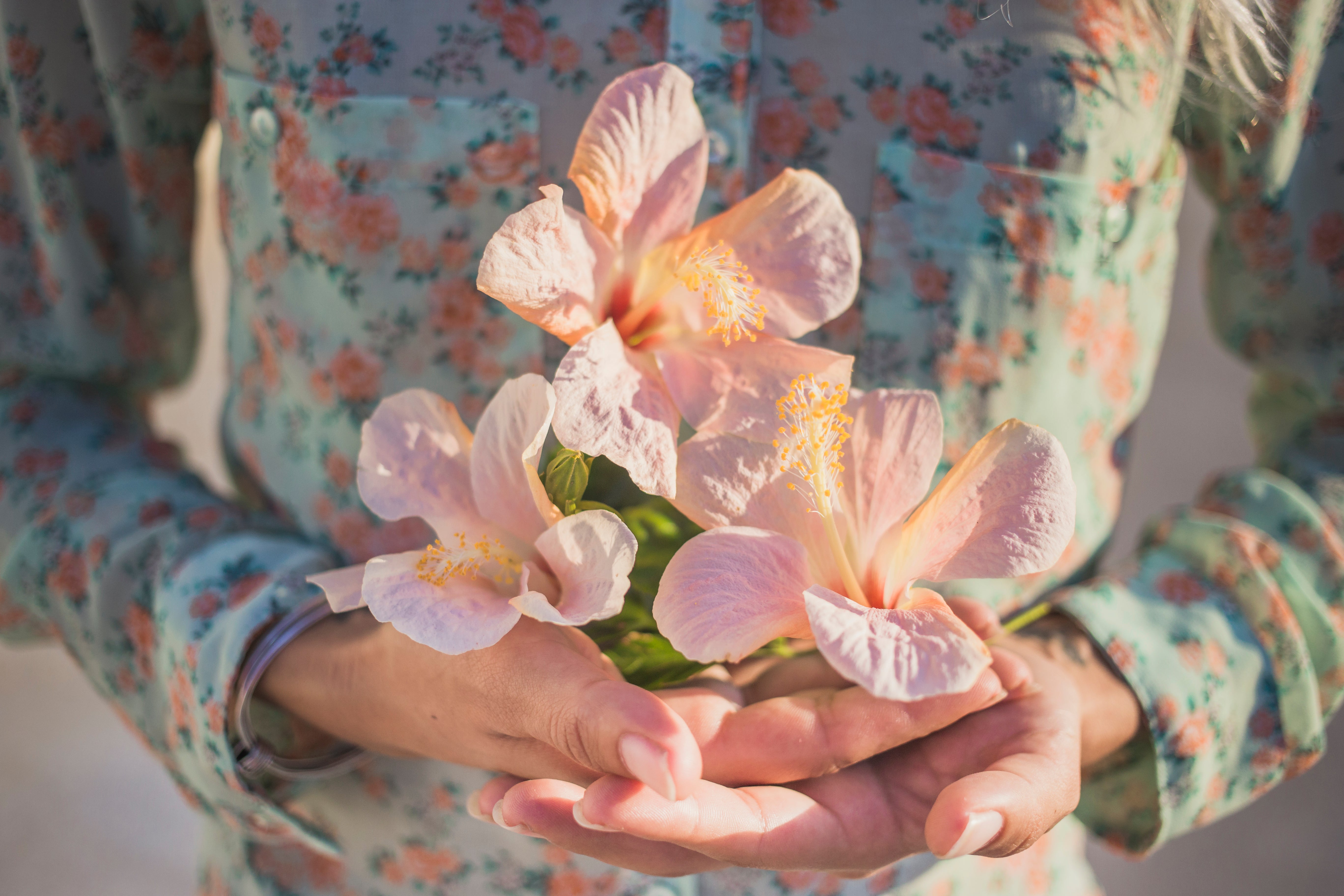 The Power of Flower Meditation: Boost Mindfulness with Nature – Terra ...
